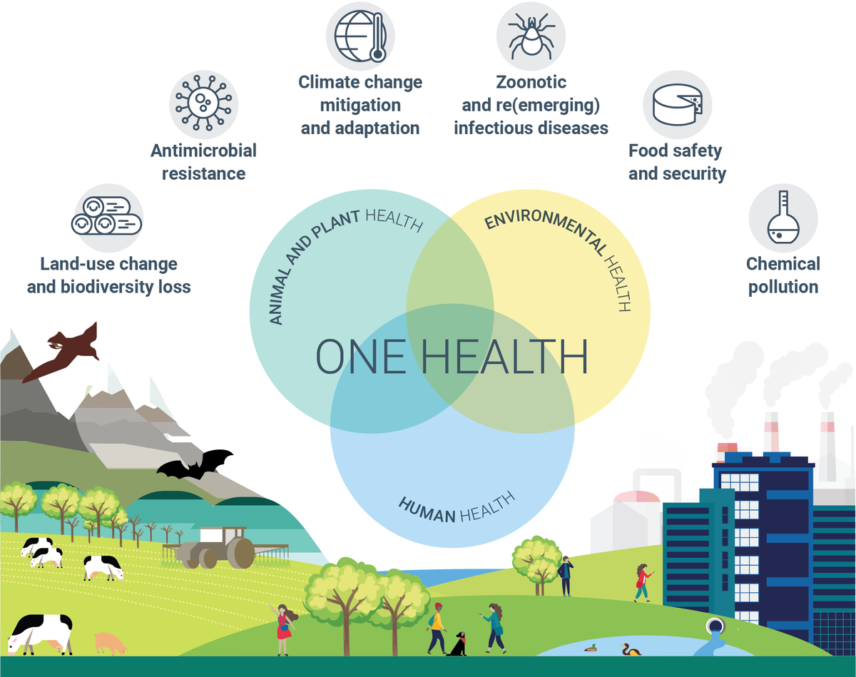 Concretizzare l'One Health nell'UE: la veterinaria può essere trainante ...